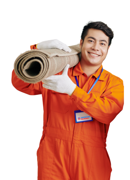 Reliable Odor Removal Services - American Packout